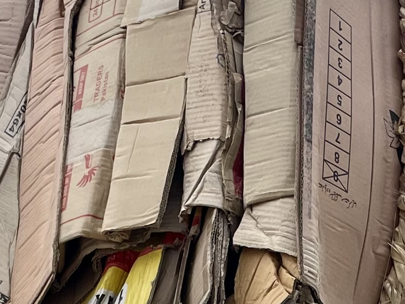 A L S E A S :: Using nature to drive innovation and advancement