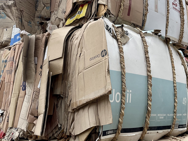 A L S E A S :: Using nature to drive innovation and advancement